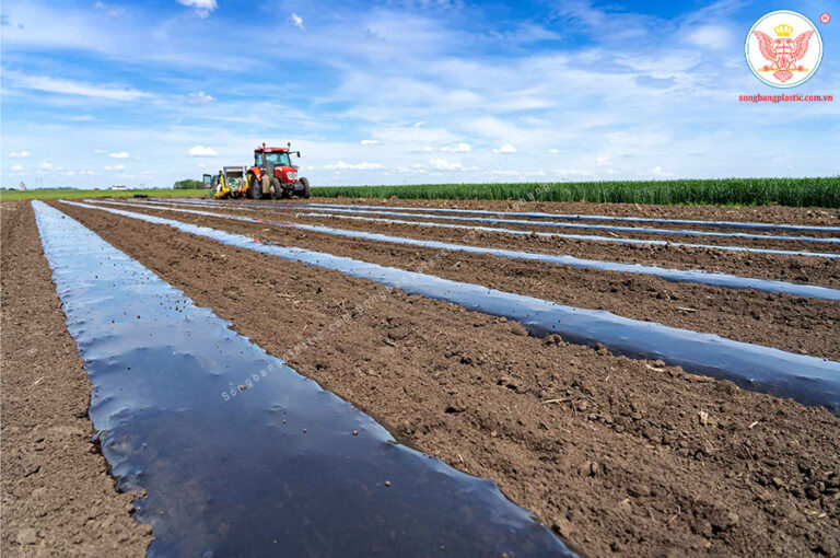Agricultural Films – Song Bang Plastic